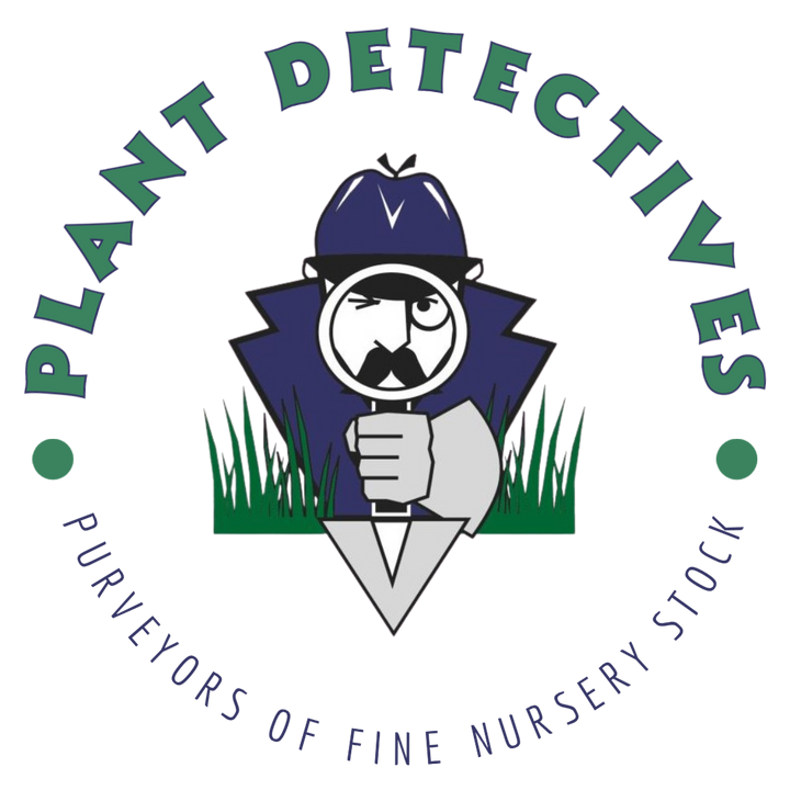 Plant Detectives - Purveyors of Fine Nursery Stock